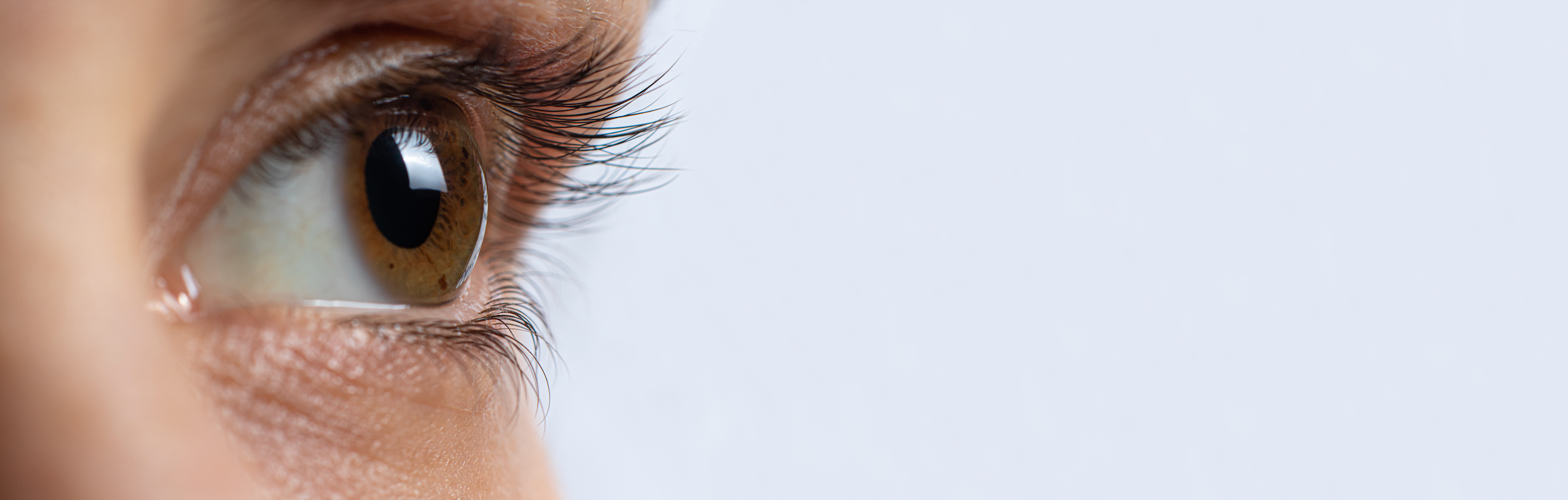 Scleral Depressors – Optego Singapore