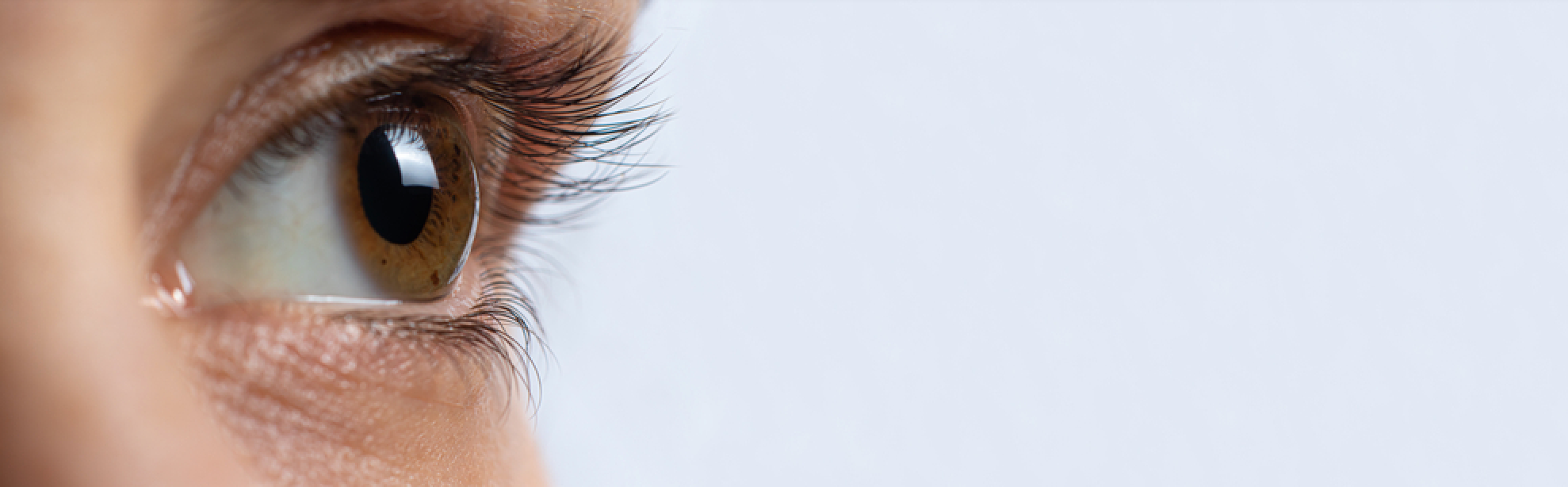 Merakris – Optego Singapore