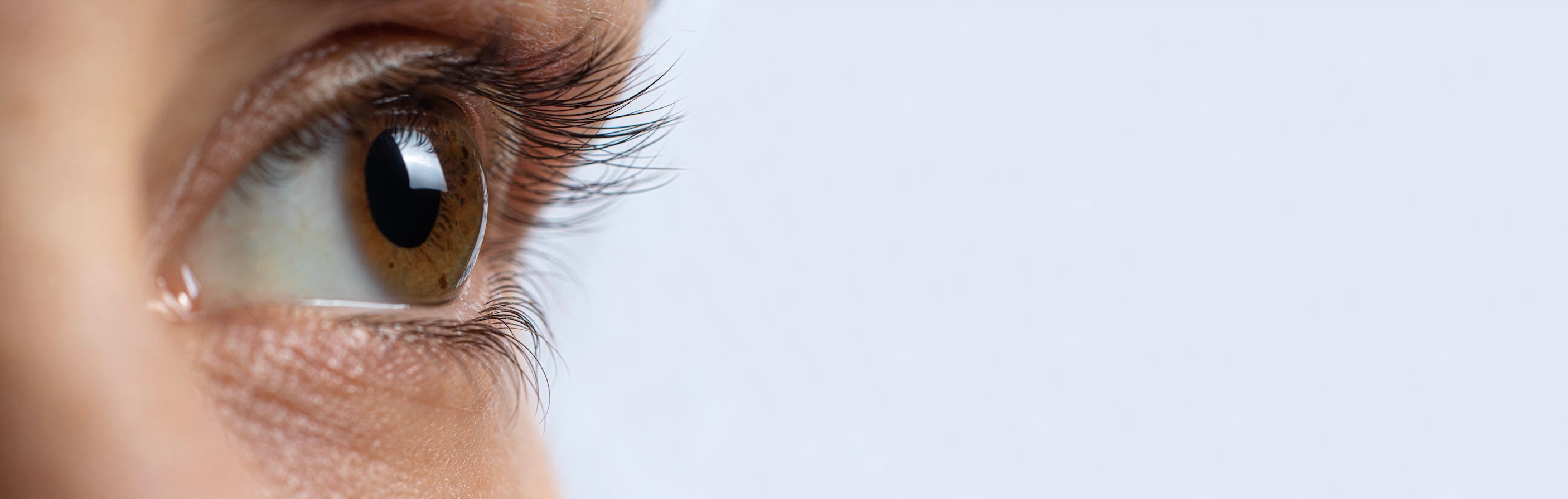 Distance Vision – Optego Singapore