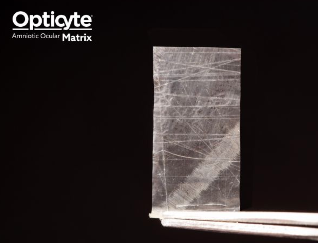 Opticyte® Surgical Repair Graft 2x3 – Optego Singapore