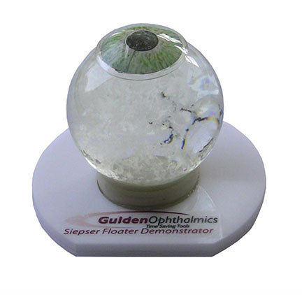Eye Model - Floater – Optego Singapore
